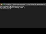 Fix Bash Syntax Error Near Unexpected Token Code2care